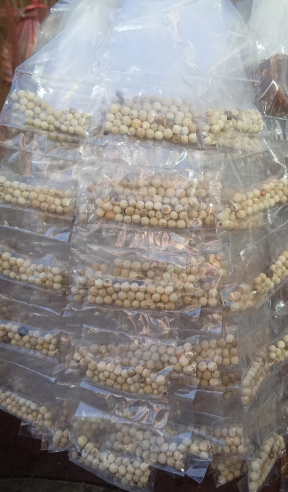 Merica Lada bulet.isi 10 Renceng..isi 5 bungkus perencengnya | Lazada ...