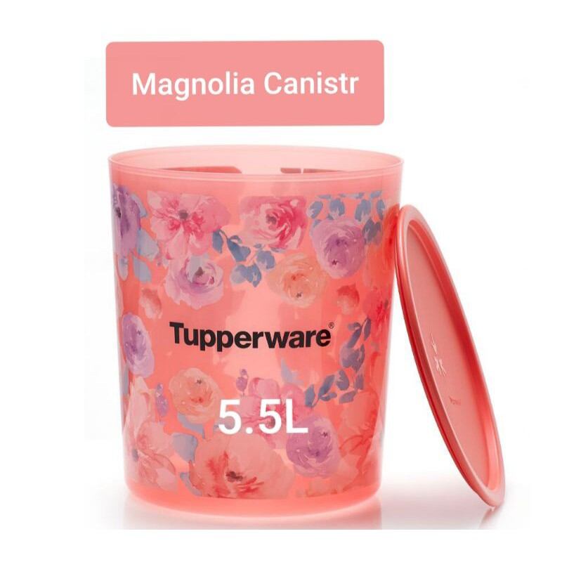 Tupperware toples 1pcs ukuran 5,5liter tebal | Lazada Indonesia