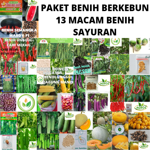 PAKET BENIH BERKEBUN 13 MACAM BENIH SAYURAN | Lazada Indonesia