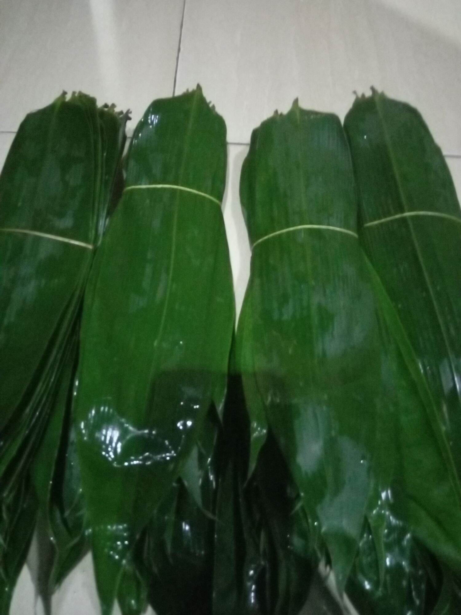 Daun Bambu per ikat [50-100 Lembar] | Lazada Indonesia