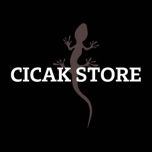CICAK STORE Toko resmi di Indonesia, Online Shop 05 2025