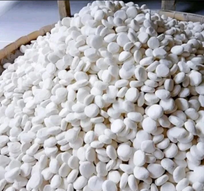 Ragi tape singkong dan ketan kualitas dijamin bagus isi 50pc | Lazada ...