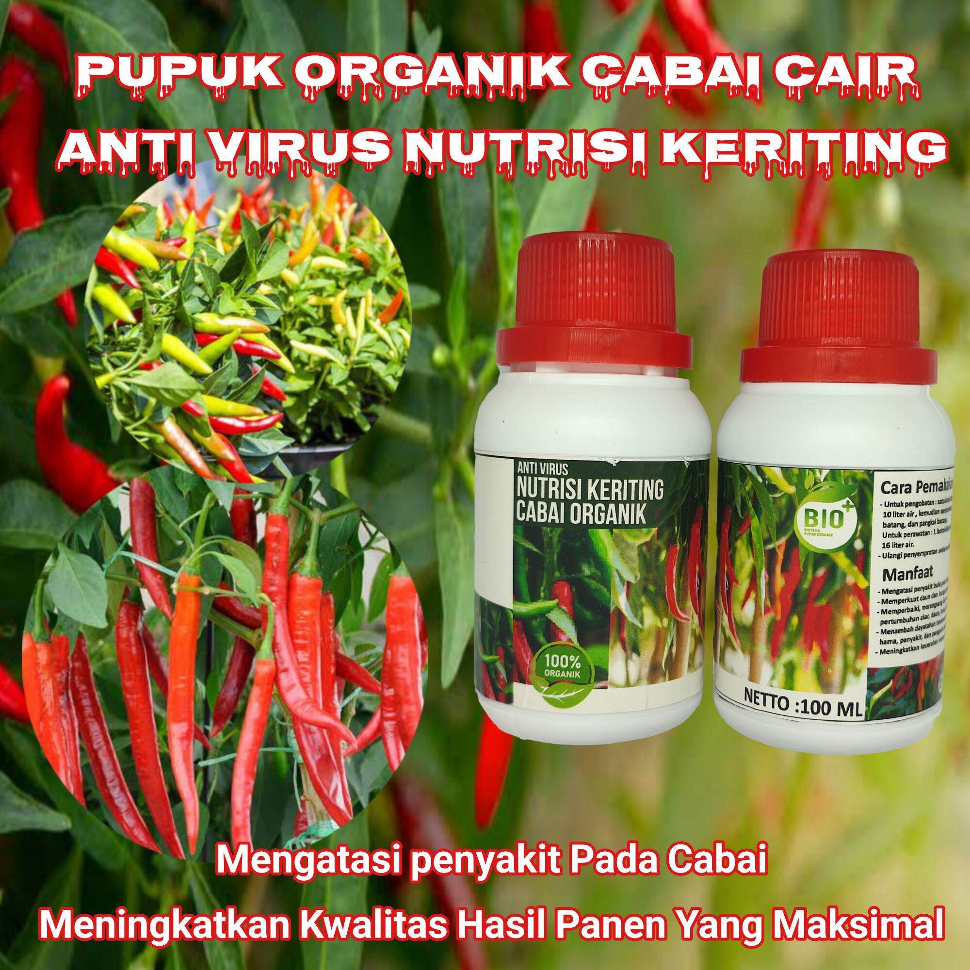 Pupuk Cabai Cair Obat Semprot Antri Kriting Cabai Super Menutrisi Pada ...
