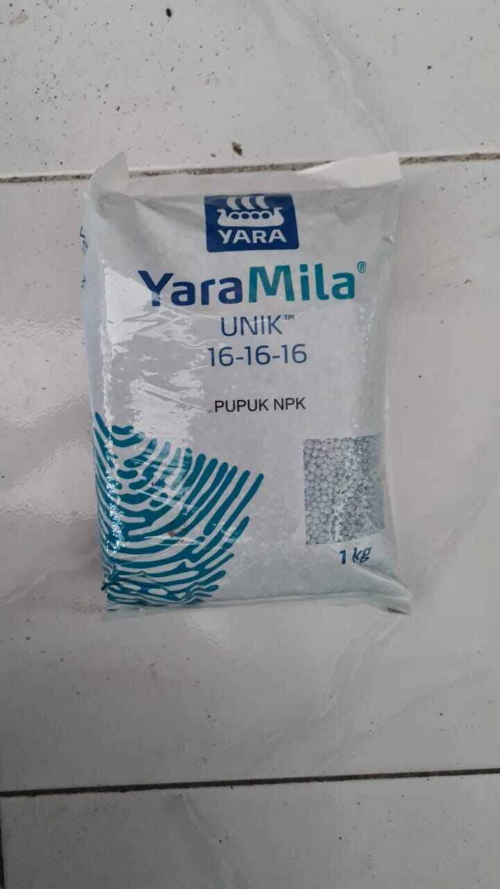 PUPUK NPK YARA MILA 16 16 16 KEMASAN 1KG | Lazada Indonesia