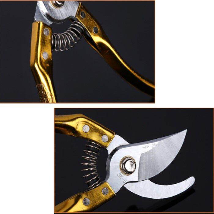 gunting daun pruning tanaman SK5 | Lazada Indonesia