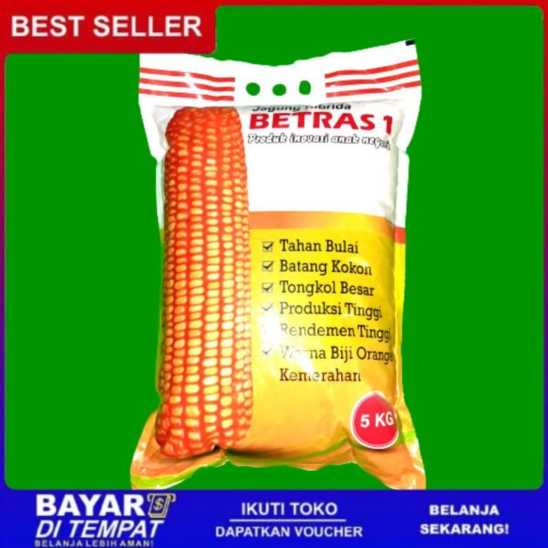 Benih jagung hibrida betras 1 5kg | Lazada Indonesia