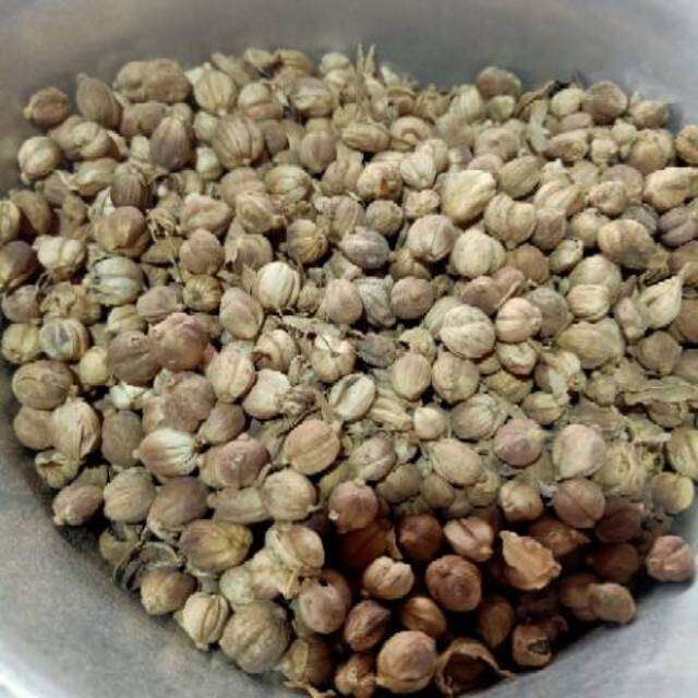 Kapol laga bahan kapol kering kapulaga 100 gr | Lazada Indonesia