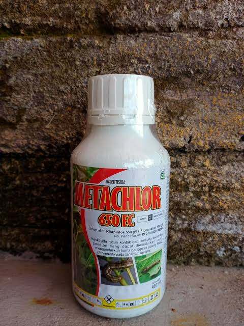 Insektisida Metachlor 650 EC isi 1 Liter | Lazada Indonesia