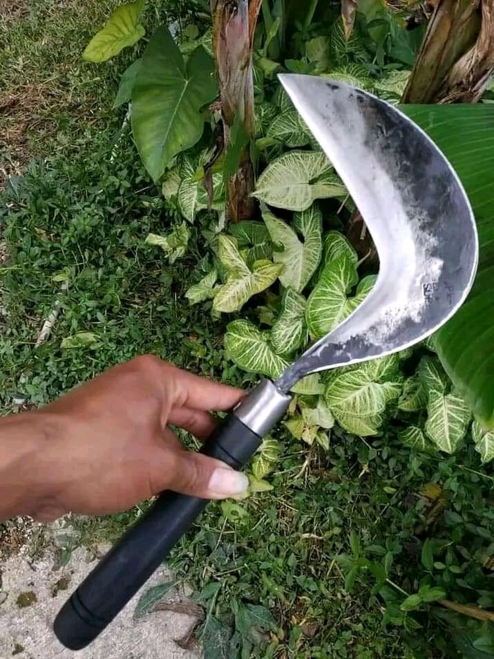 Jual Parang Rumput Merek Abba Terbaru - Jun 2024 | Lazada.co.id