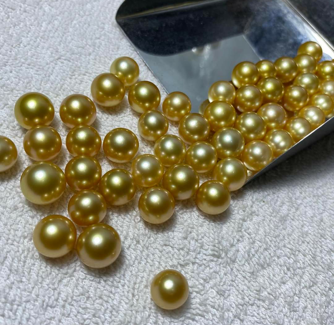 Mutiara Air laut warna kuning Gold | Lazada Indonesia