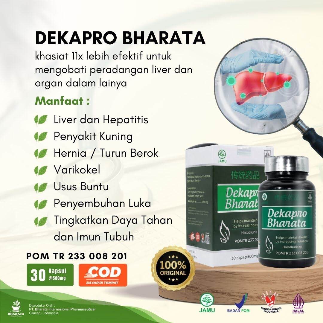 Obat Herbal Hernia, Varikokel, Liver, Hepatitis ABC, Tumor Berok, Tumor Organ Dalam - Dekapro ...