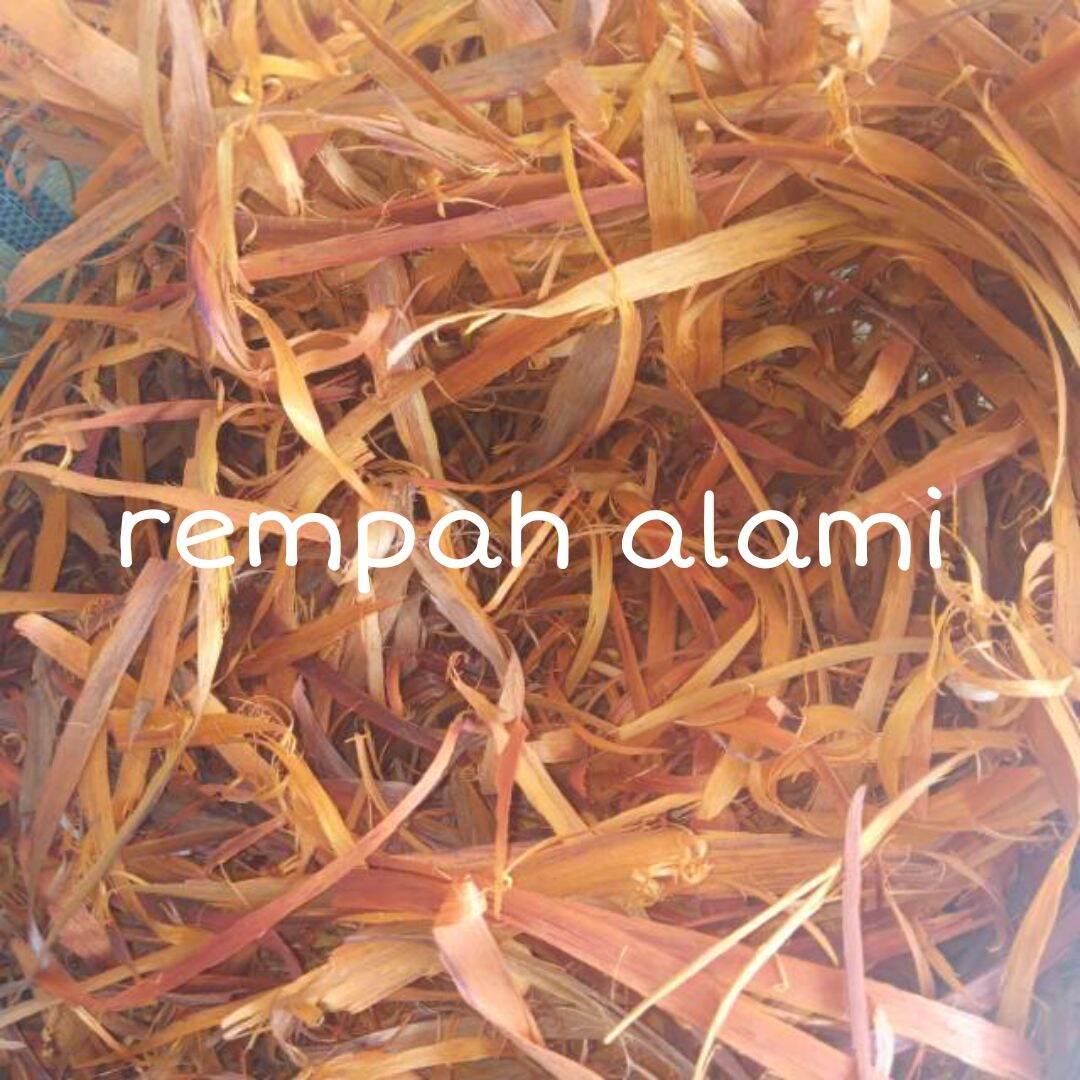 Kayu secang serut kering/caesalpinia sappan 100gr | Lazada Indonesia