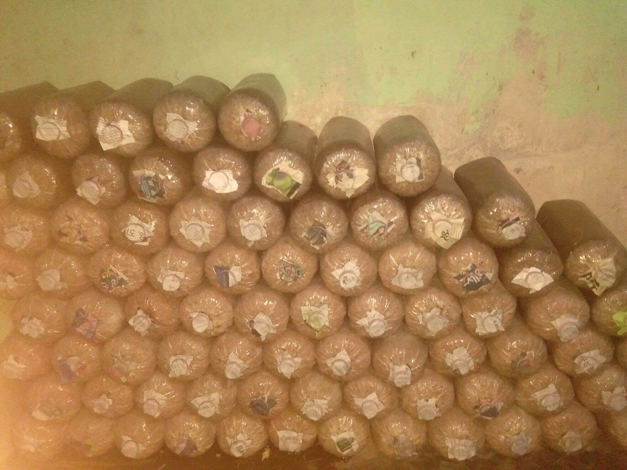 BAG LOG JAMUR | Lazada Indonesia