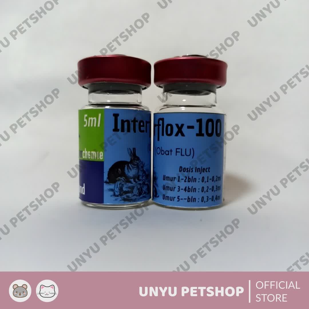 Interflox injeksi obat FLU untuk hewan peliharaan FREE 1pcs suntikan ...