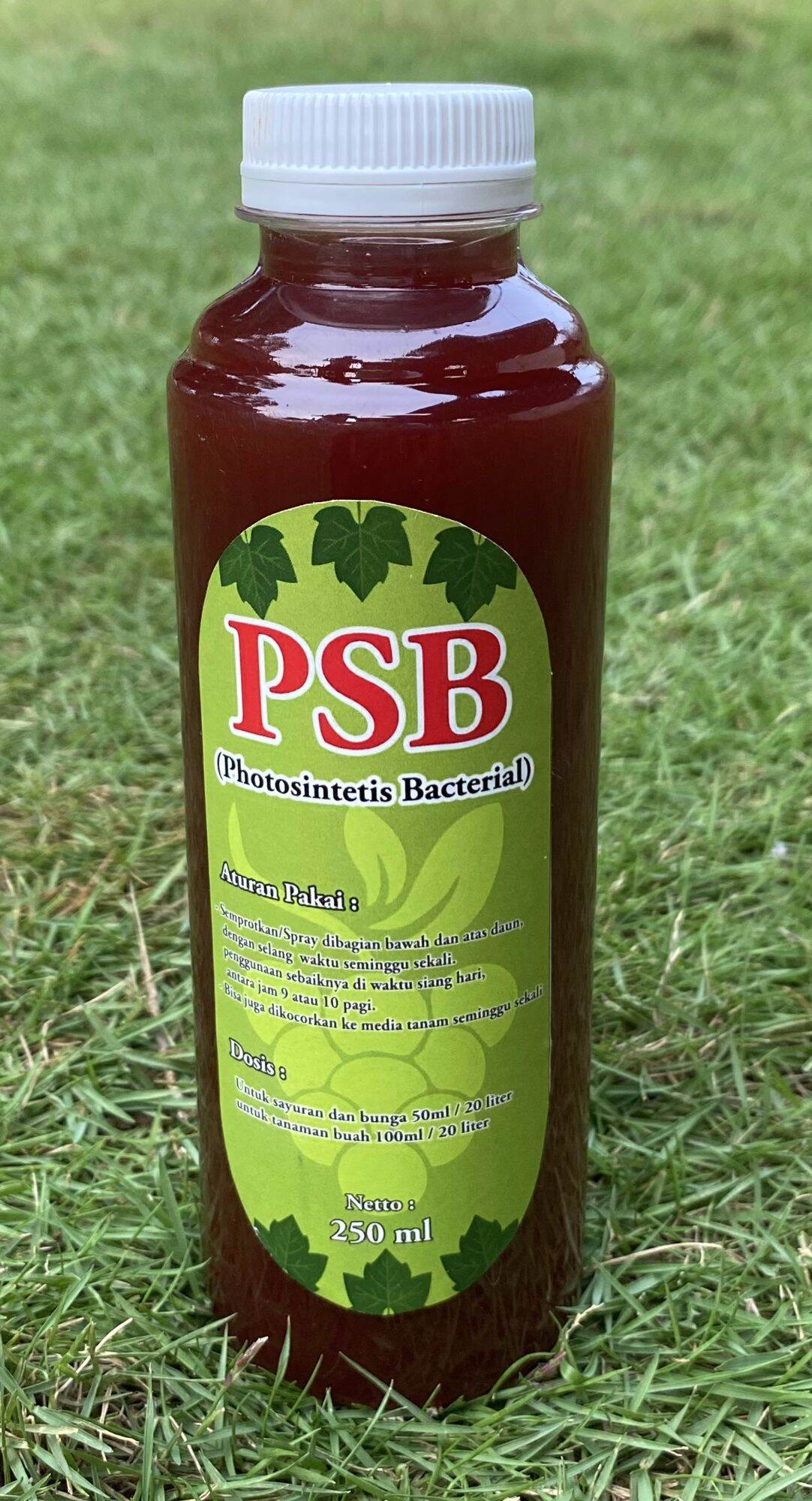 Bakteri Fotosintesis ( PSB ) | Biang | Booster | Pupuk Organik Cair ...
