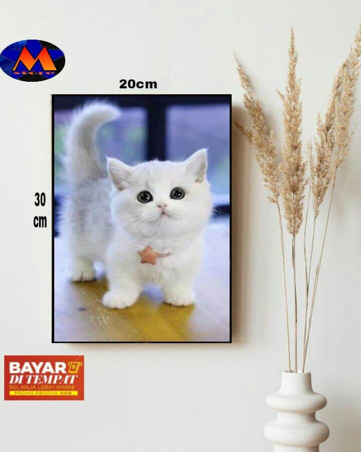 HIASAN DINDING GAMBAR KUCING/POSTER KAYU GAMBAR KUCING/POSTER GAMBAR ...
