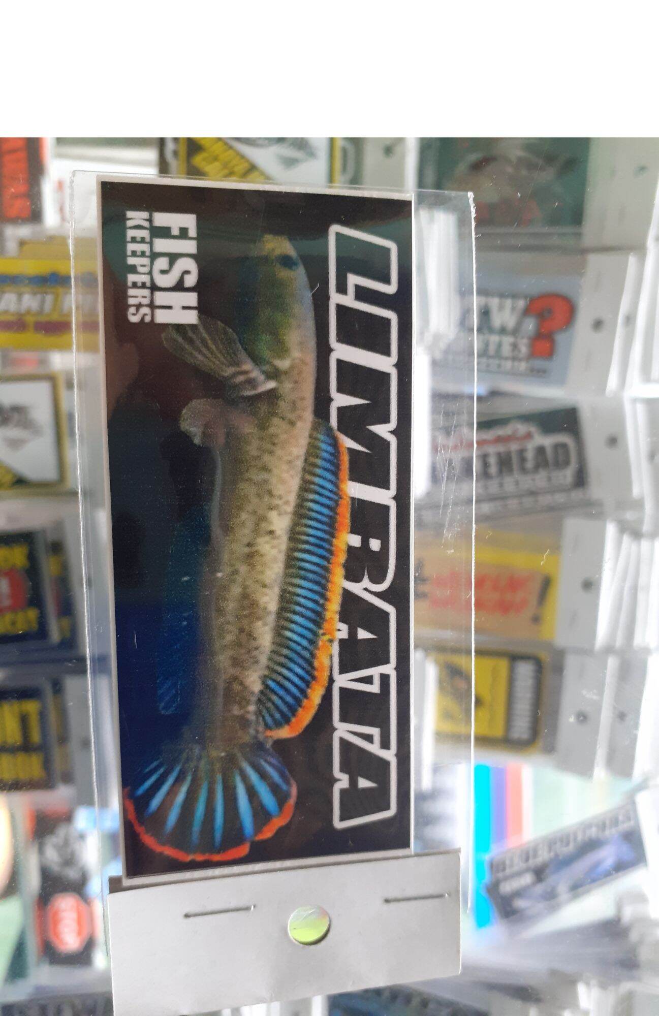 Sticker limbata gacua stiker iwak galak sticker predator stiker channa ...