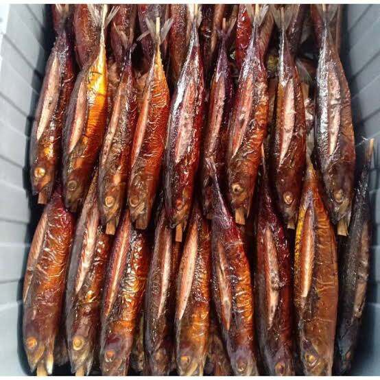 Ikan Asap, Tongkol asap Utuh ukuran sedang | Lazada Indonesia