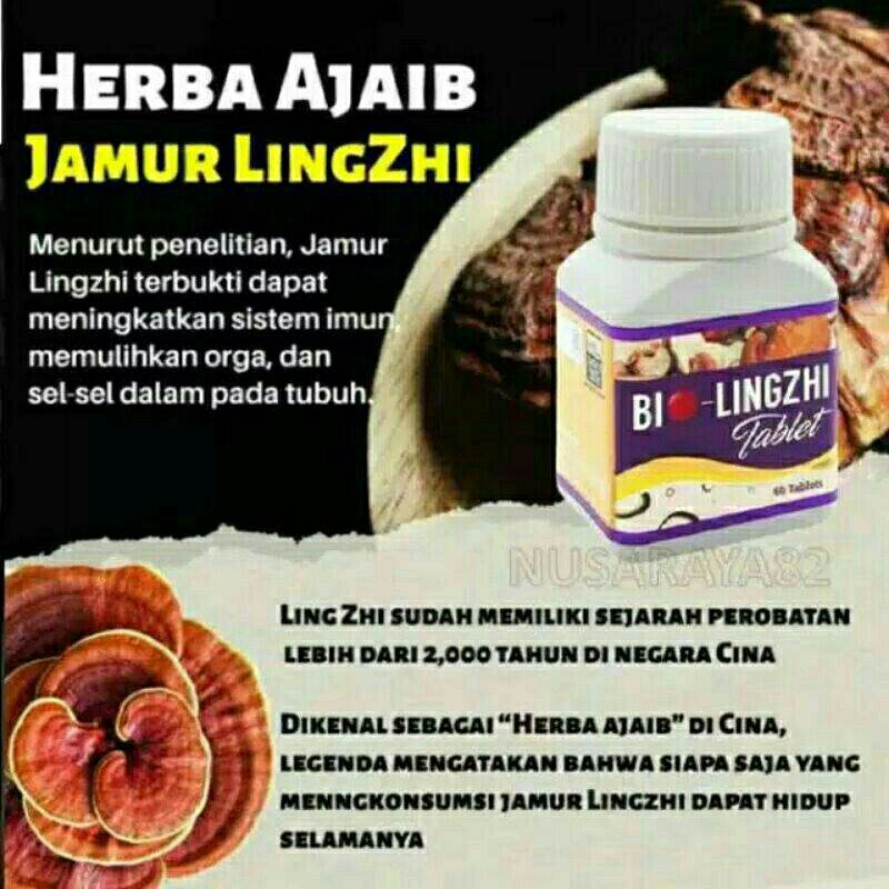 Herbal Bio Lingzhi Obat Ginjal Asli Biolingzhi Tablet Bio Lingzi 100% ...
