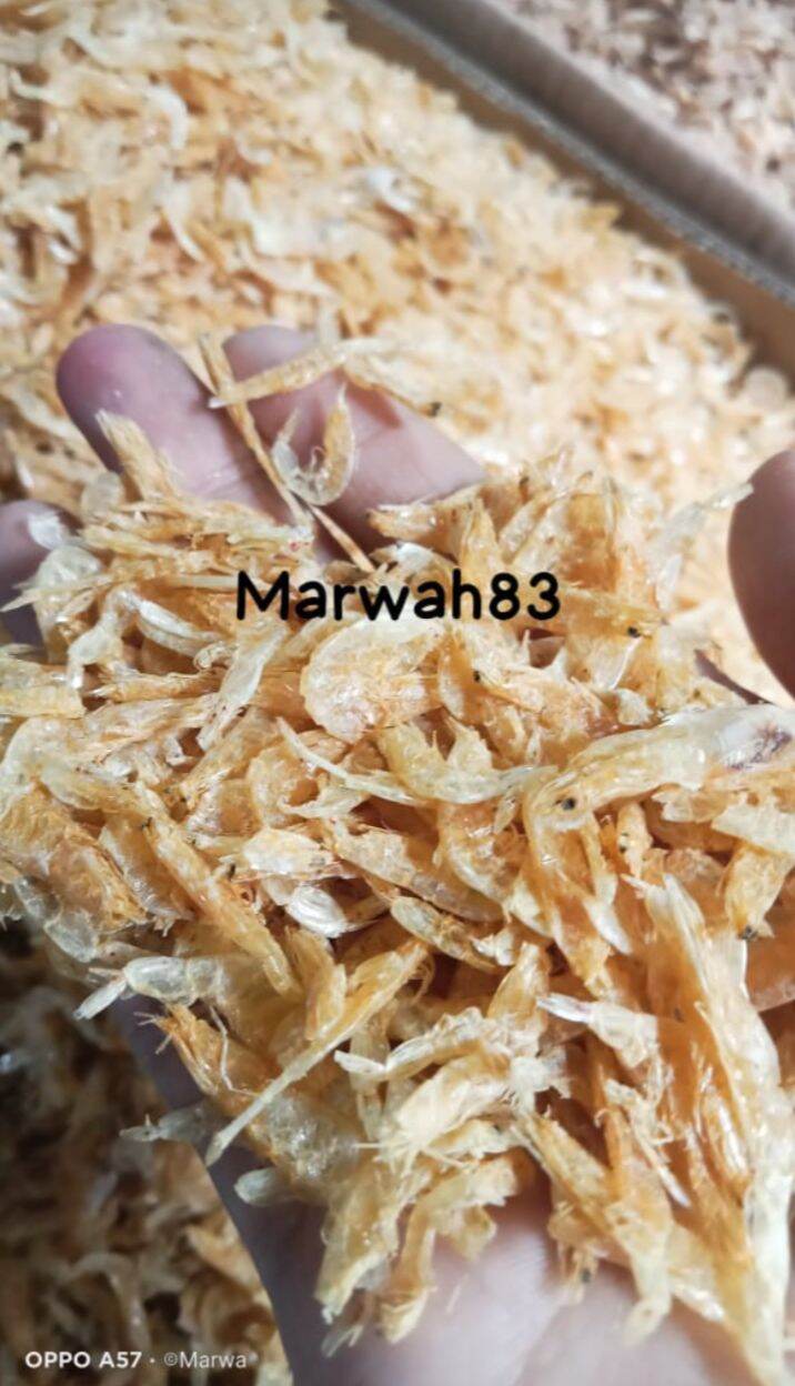 ikan asin udang rebon ikan asin rebon tawar kualitas super harga murah ...