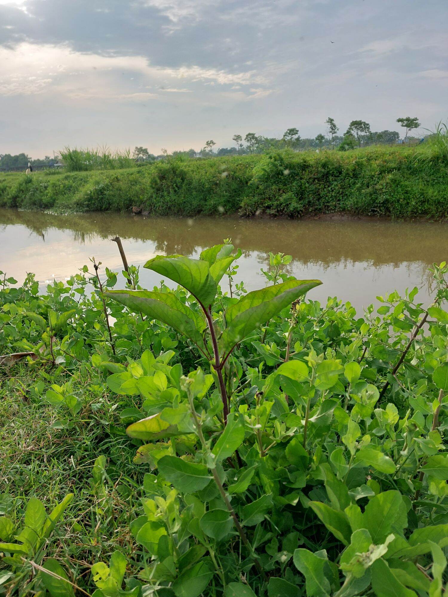 Shop online with gass_boss now! Visit gass_boss on Lazada.