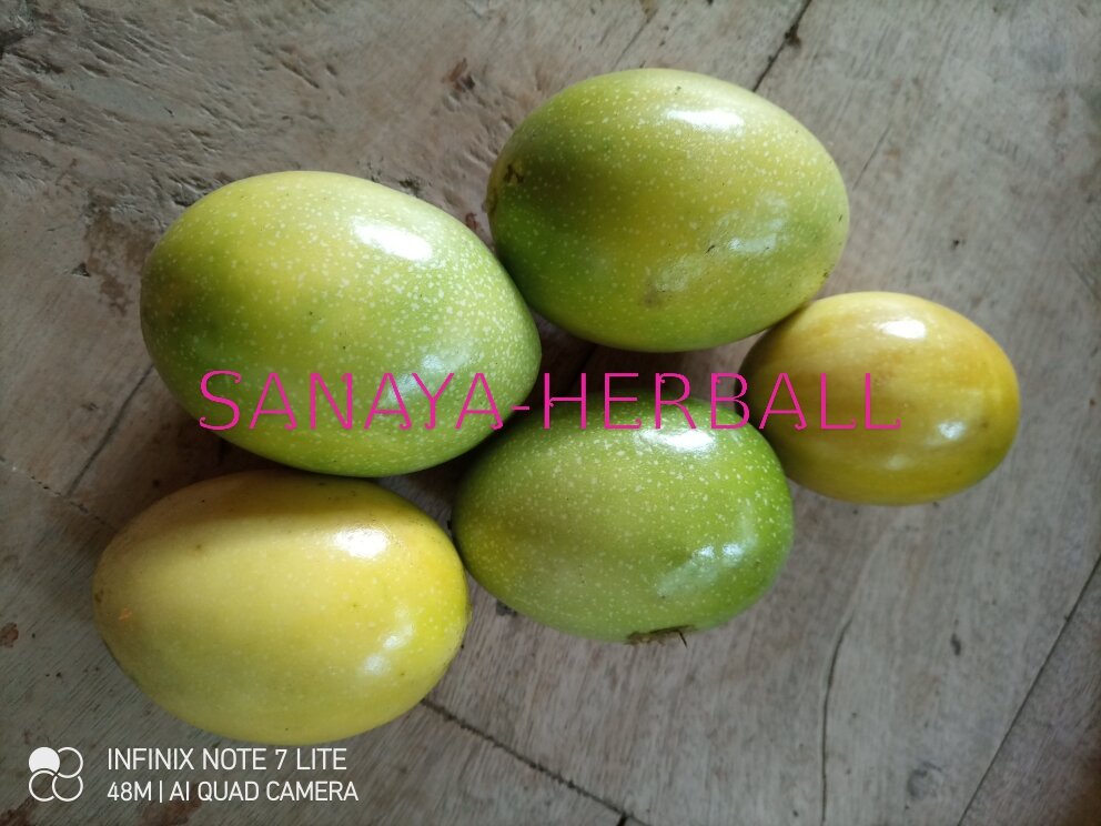 Buah markisa atau saprola konyal segar per 1 kg | Lazada Indonesia