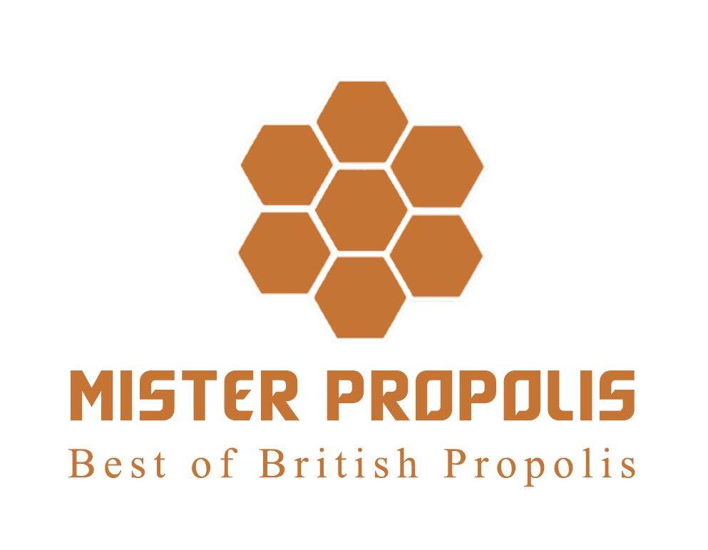 Toko Resmi Mister Propolis Online | Lazada.co.id