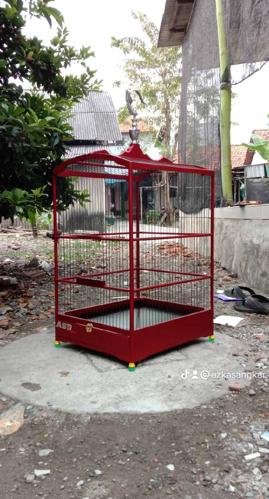 Sangkar Diamond ambrukan mentahan, sudah ada alas triplek tanam MDF ...