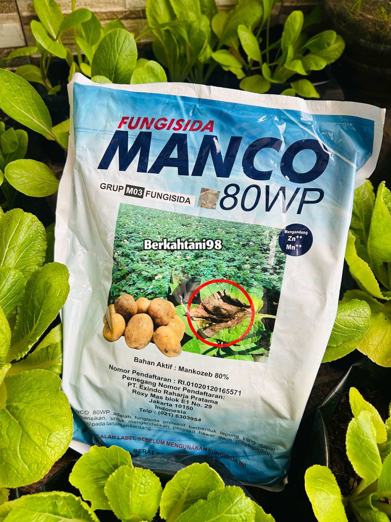 Fungisida Manco 80WP 1kg - Mancozeb biru | Lazada Indonesia