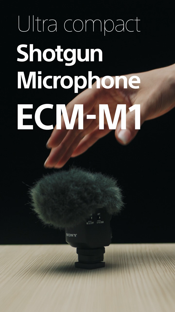 Sony ECM-M1 Shotgun Microphone Sony ECMM1 Mic Mikrofon Kamera JPC KEMANG GARANSI RESMI | Lazada ...