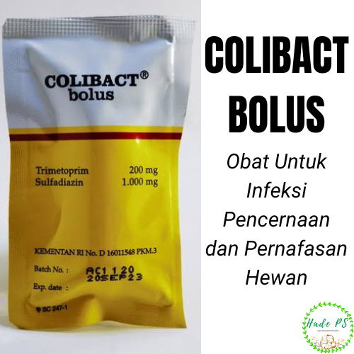 Colibact Bolus Sanbe Obat Untuk Infeksi Pencernaan dan Pernafasan Hewan | Lazada Indonesia