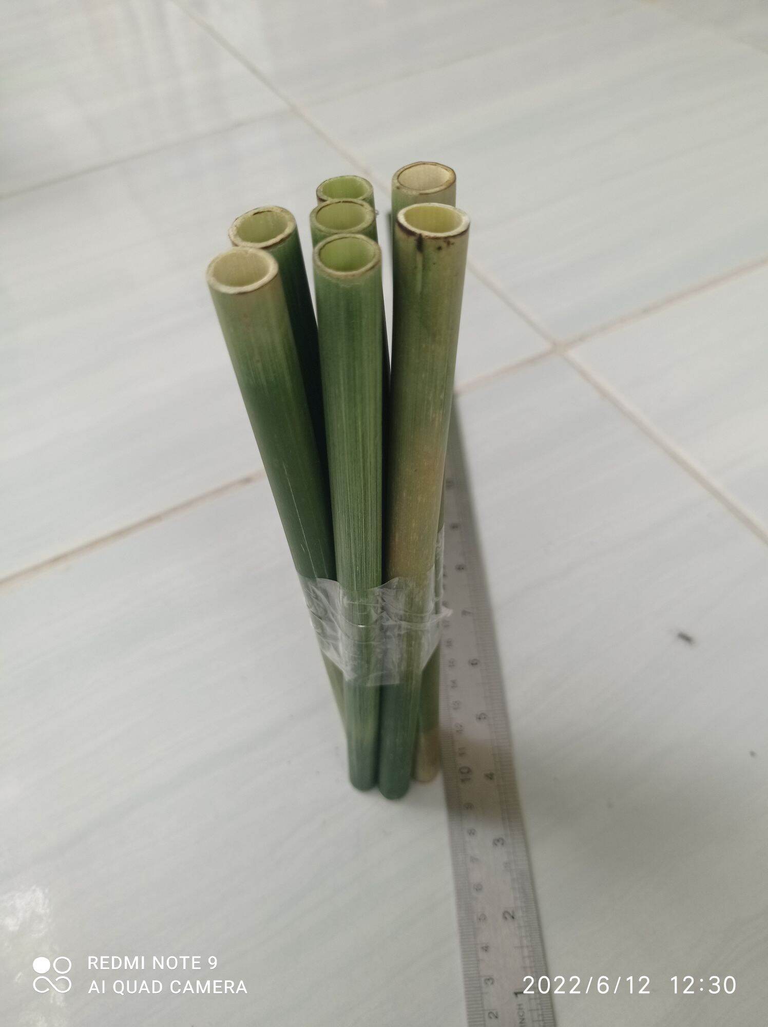 Sedotan bambu tamiang per 10 potong | Lazada Indonesia