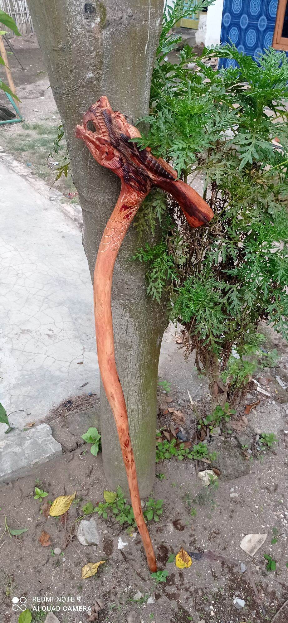 TONGKAT JALAN KAYU SETIGI LAUT BAREK UKIR NAGA / tongkat bantu jalan ...