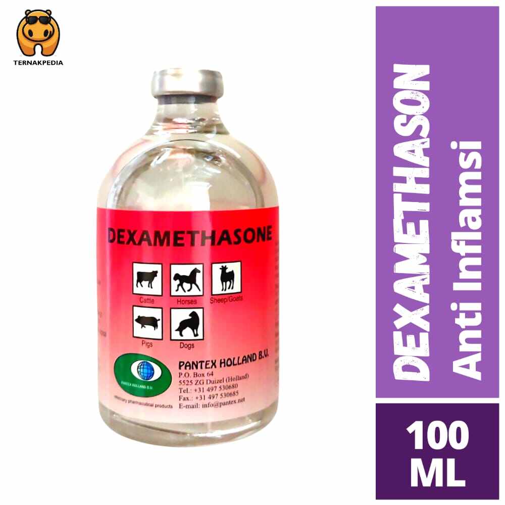Dexa 100 ml - Anti Inflamasi - Pantex Holland - Dexametason 100 ml ...