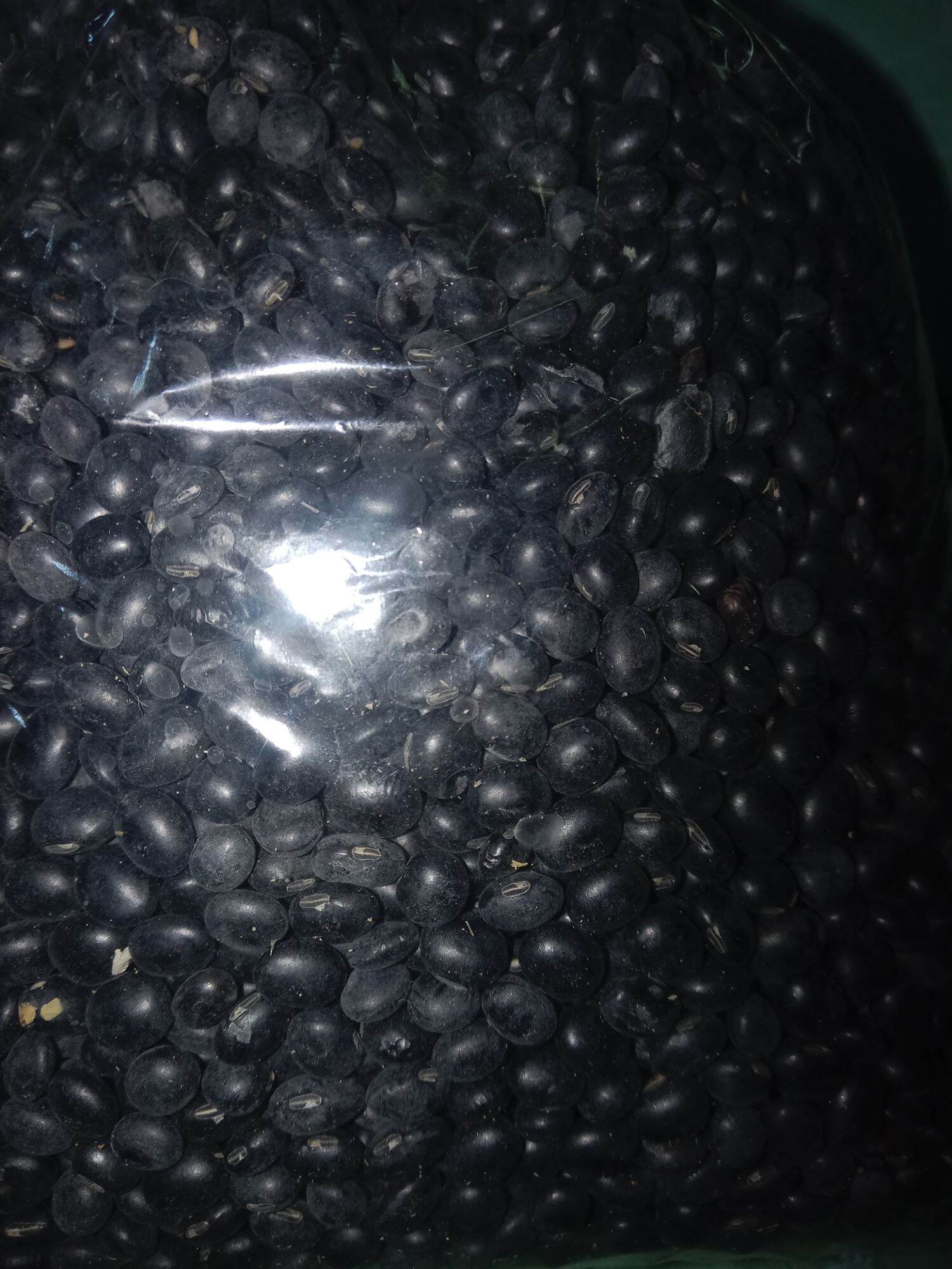 kedele hitam kacang | Lazada Indonesia