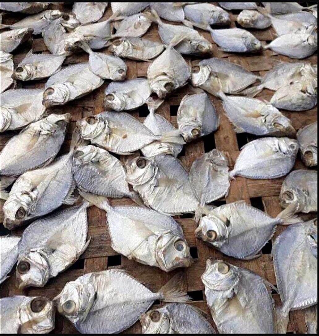 ikan asin petek/pirik 500grm | Lazada Indonesia