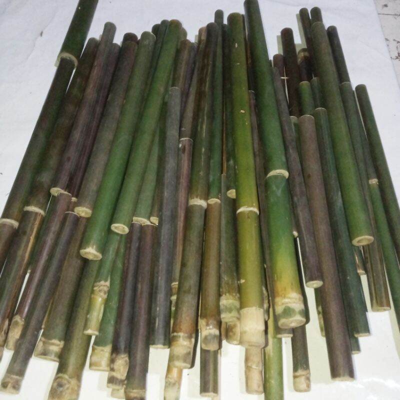 Mainan tradisional Pletokan bambu Pistol Tembakan Bambu | Lazada Indonesia
