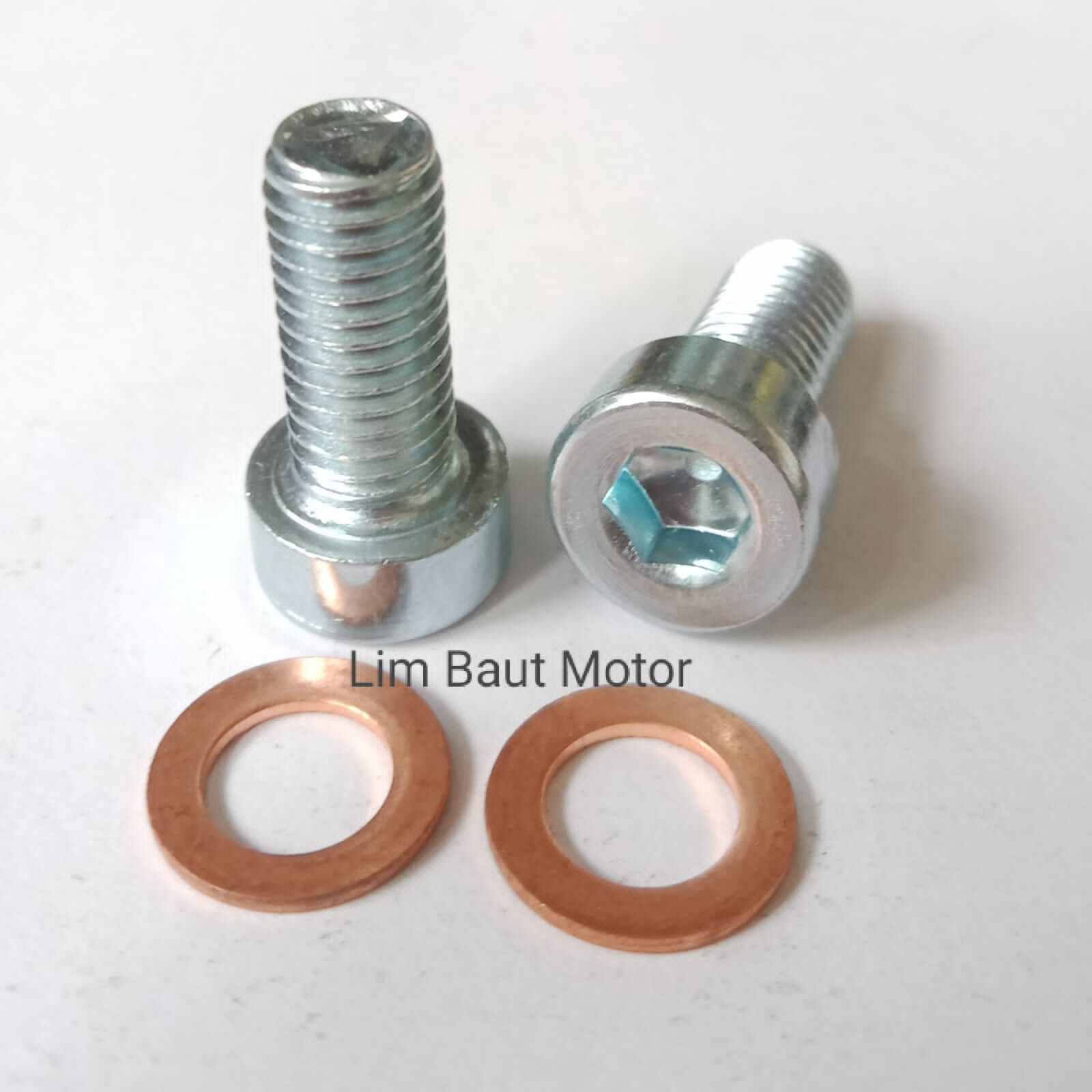 Lim Baut Motor baut suling shock depan honda bebek (1set) | Lazada ...