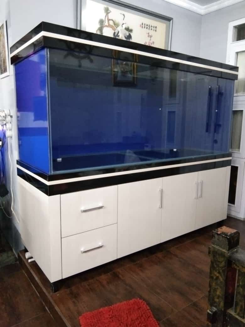 Aquarium kabinet ukuran 200x60x70(fullset) | Lazada Indonesia