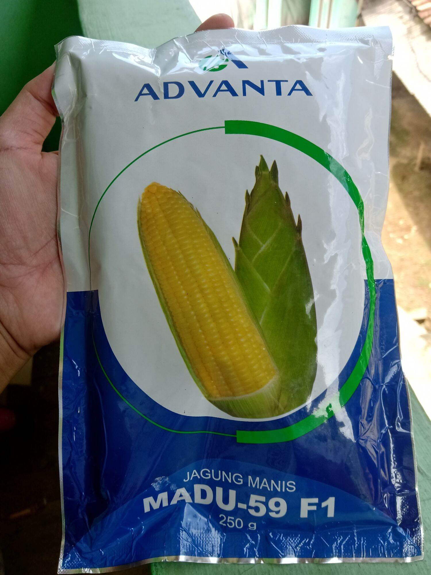 Benih Jagung Manis Madu-59 F1 Advanta isi 250 gram | Lazada Indonesia