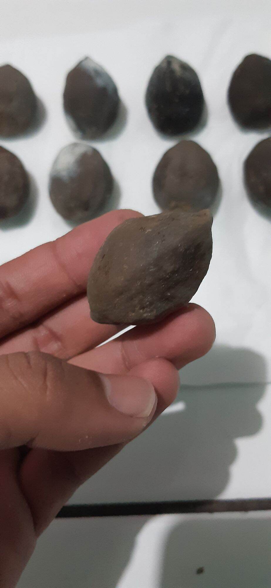 muncang aduan jawa si MUMI | Lazada Indonesia