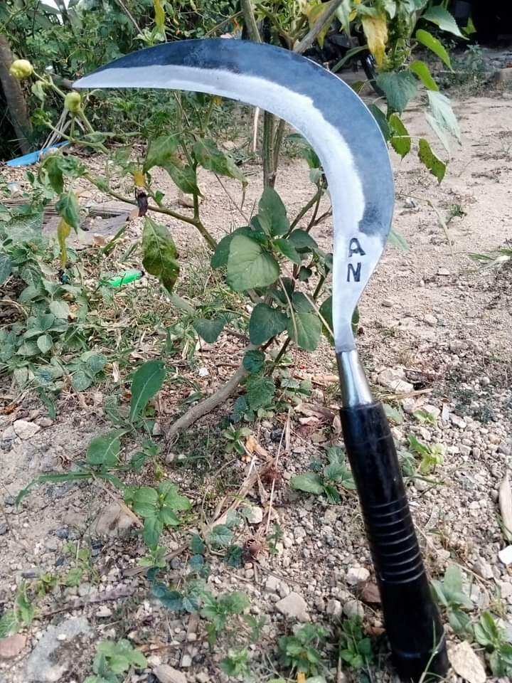 Arit rumput # merk AN # asli buatan Madura # super tajam | Lazada Indonesia