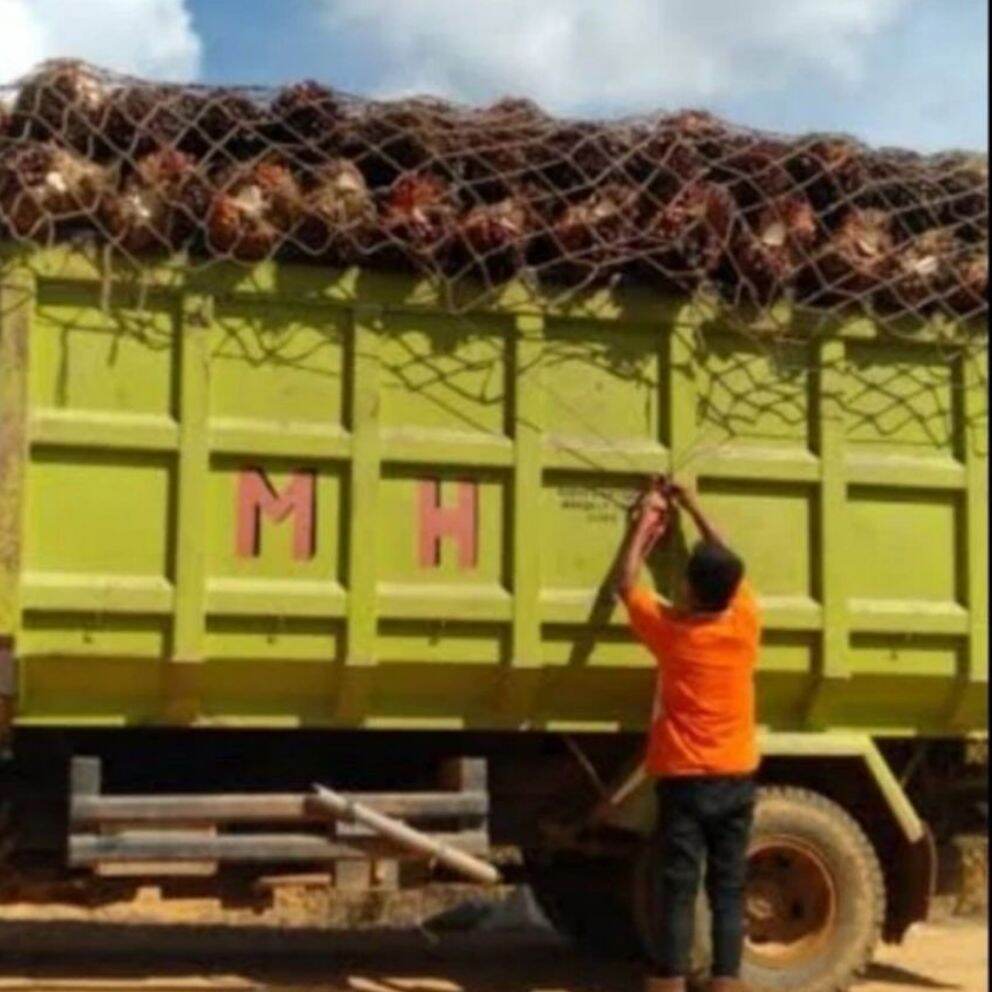 Jaring sawit atau penutup truk dan pickup | Lazada Indonesia