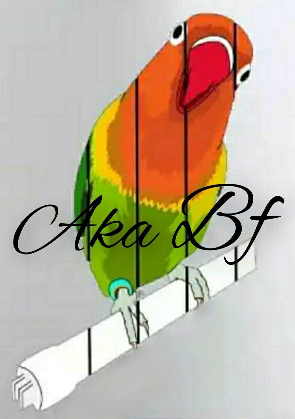 aka bf store Toko resmi di Indonesia, Online Shop 04 2025