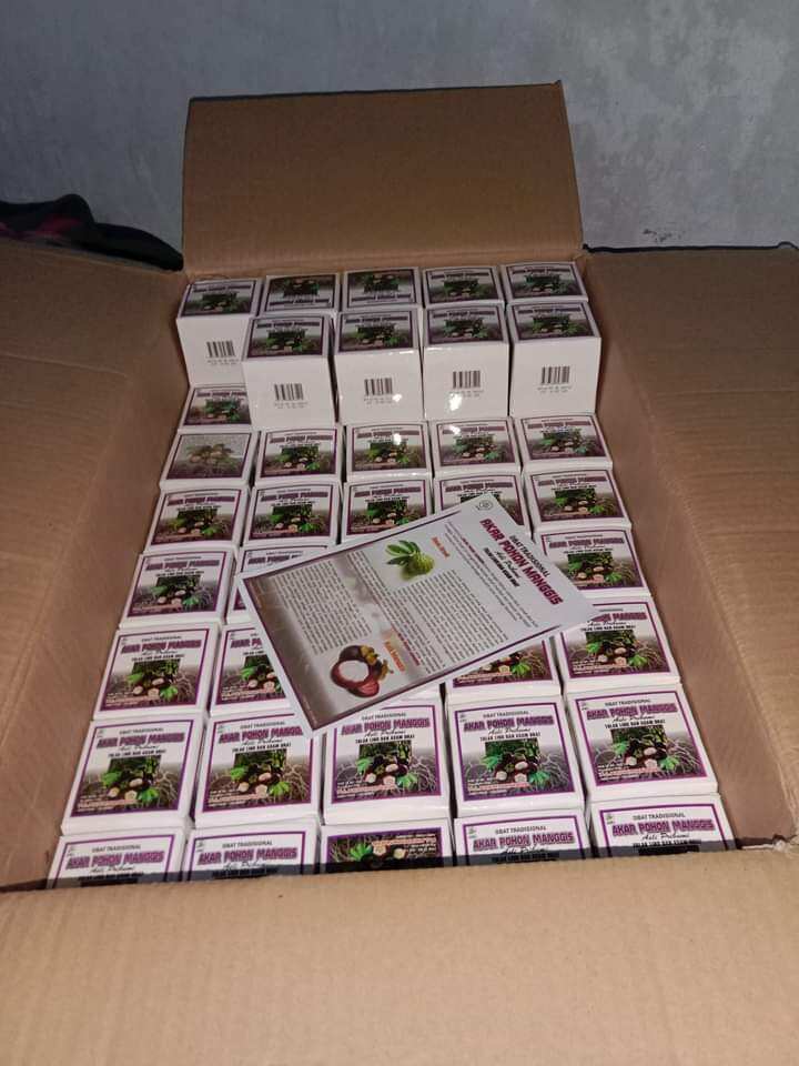 AKAR POHON MANGGIS 5 Box / Dus | Lazada Indonesia
