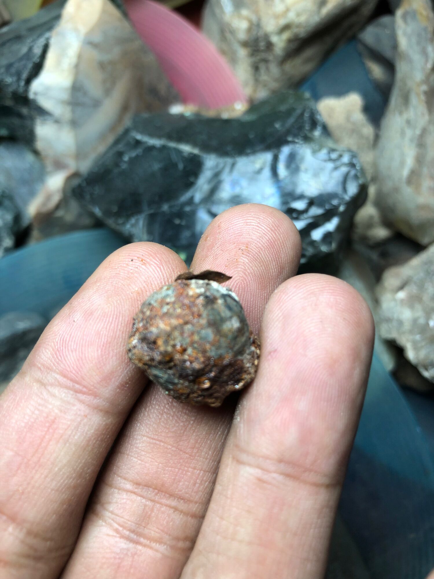 Plinteng semar wesi aji | Lazada Indonesia