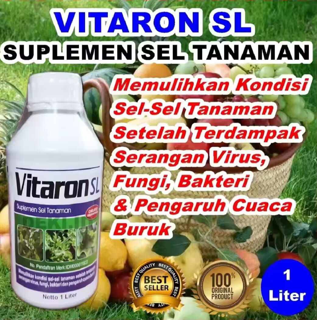 BELI 3 BOTOL GRTIS 1 BOTOL VITARON SL 1 Liter 500ML & 250ml ) Suplemen ...