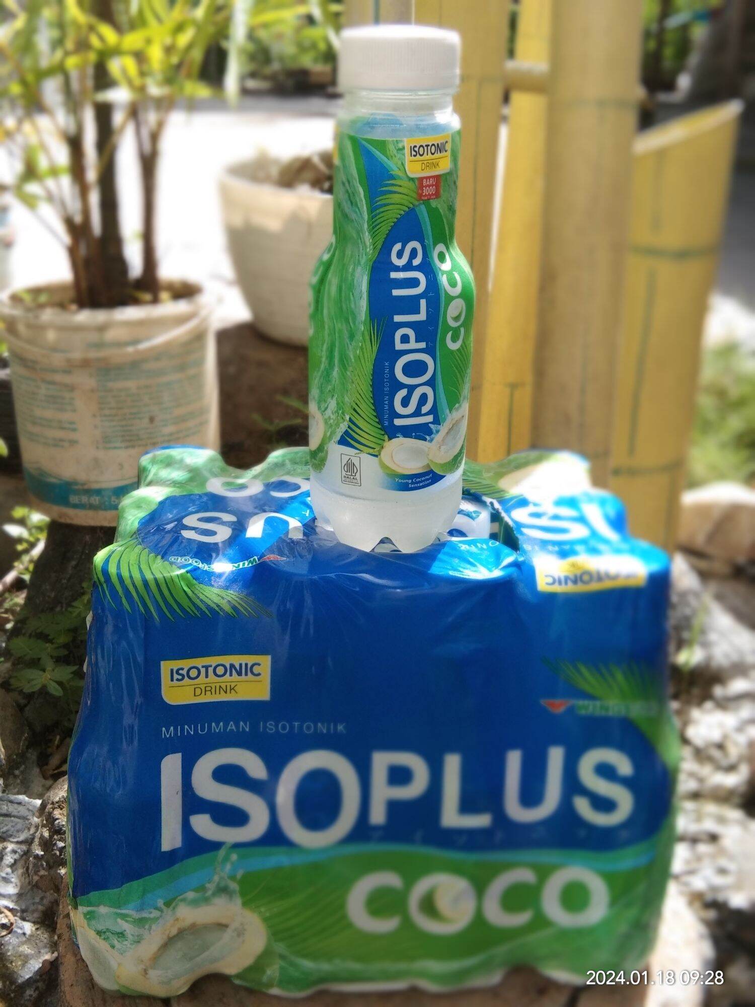 Isoplus 1 Dus isi 12 Botol/ Isoplus minuman Isotonik | Lazada Indonesia