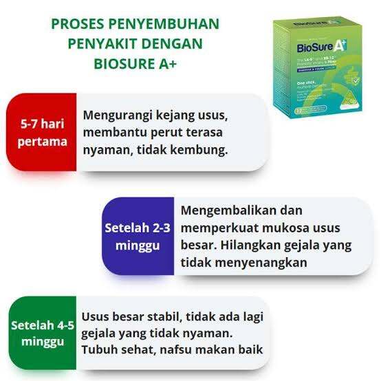 BIOSURE A+ MILK SUSU PROBIOTIK BIOSURE MENGATASI PERMASALAHAN GANGGUAN ...