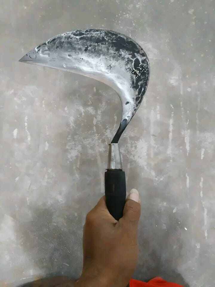 arit rumput model bandungan untuk padi maupun rumput / untuk pertanian ...